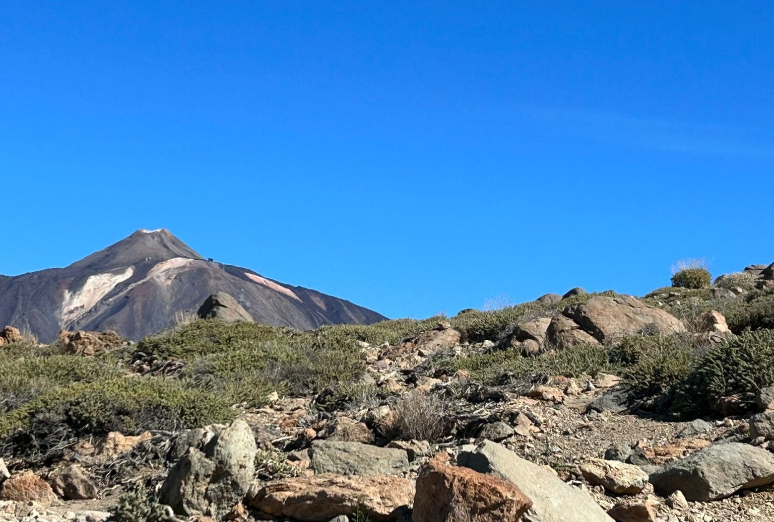 The Cabildo promotes scientific vocations among students at the Science ...